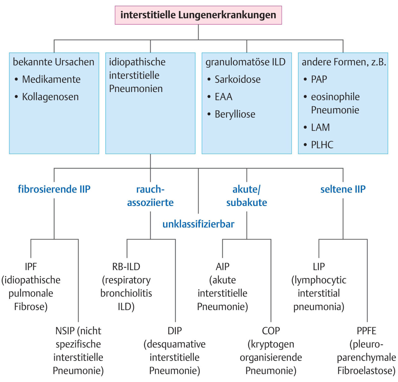 Interstitielle Lungenerkrankungen